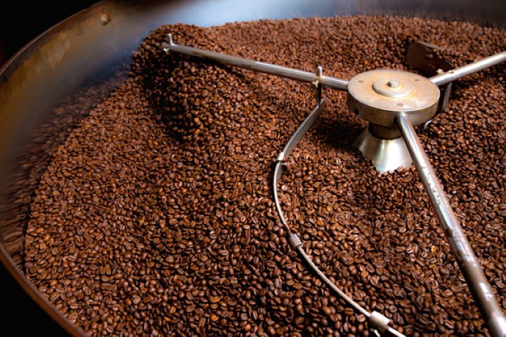 Coffee: Tour: Plantation: Samara: Costa Rica
